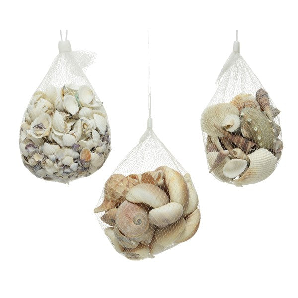 Decorative Shells | Cornwall Garden Shop | UK