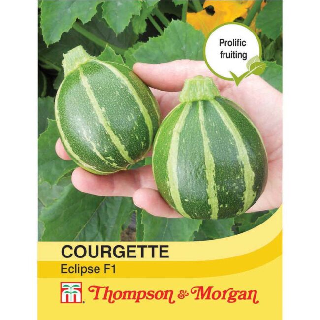 Courgette Eclipse F1 Hybrid Vegetable Seeds