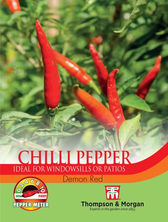 Pepper Chilli Demon Red Vegetable Seeds