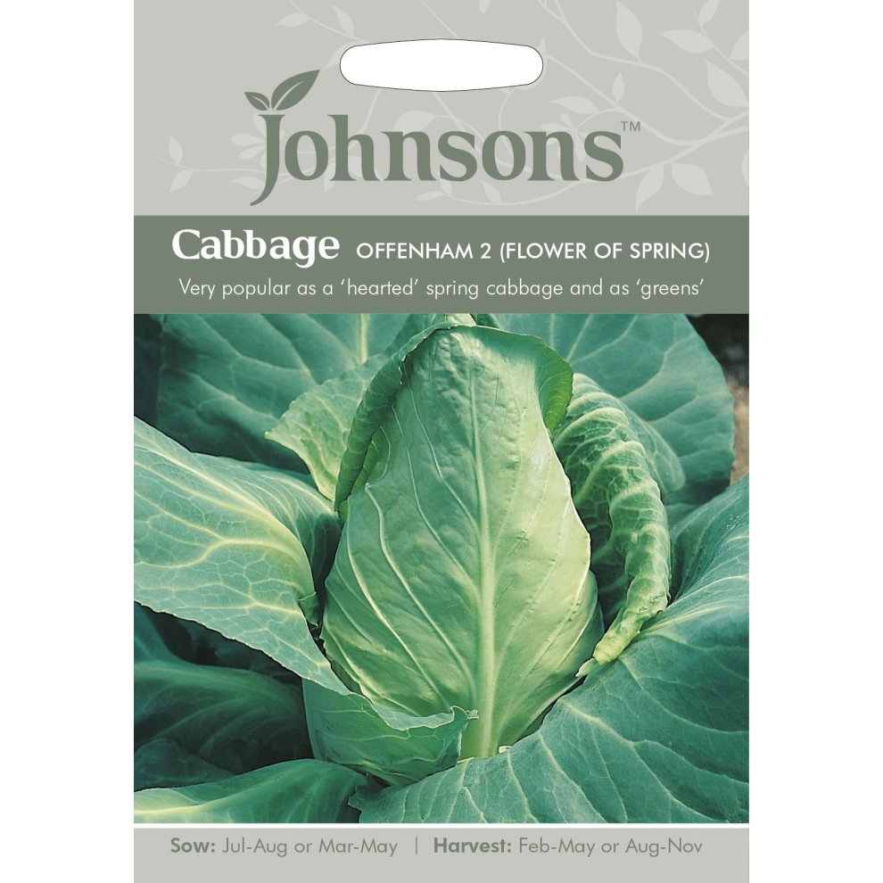 Cabbage Offenham 2 (Flower of Spring) Seeds